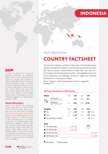 DDP Indonesia Country Factsheet - DDP initiative