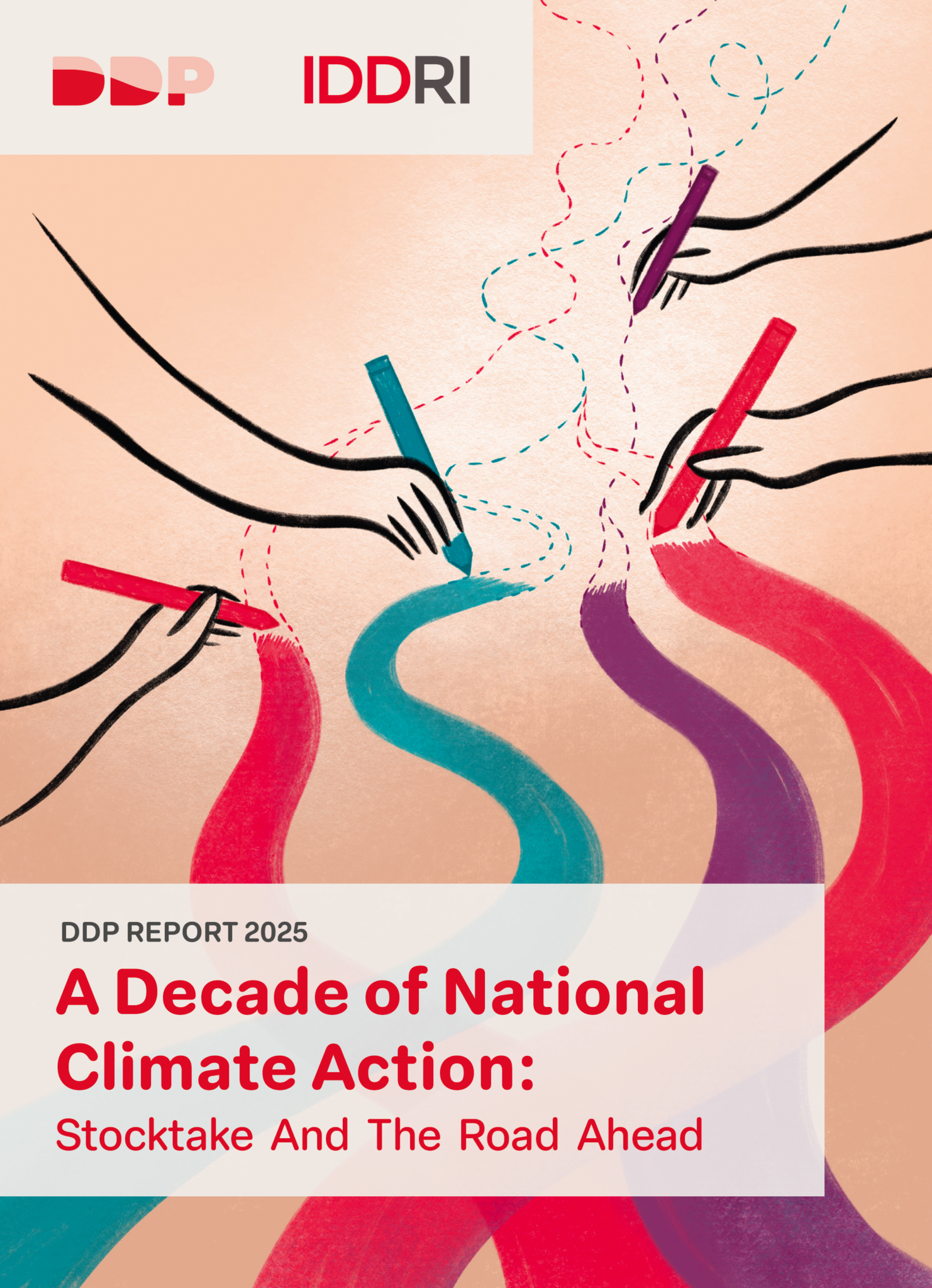 DDP report 2025 - DDP initiative